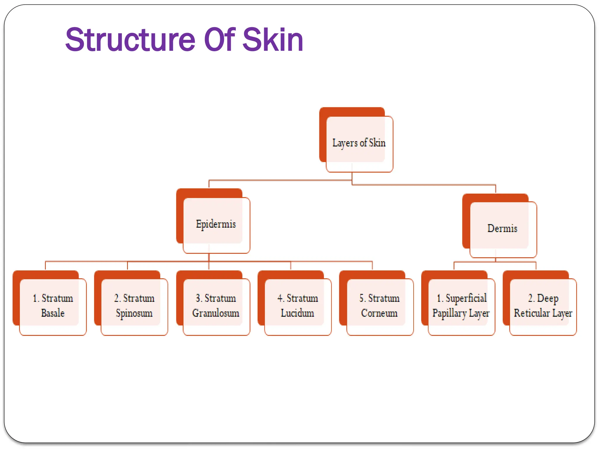 SKIN, SUPERFICIAL FASCIA AND DEEP FASCIA.pptx