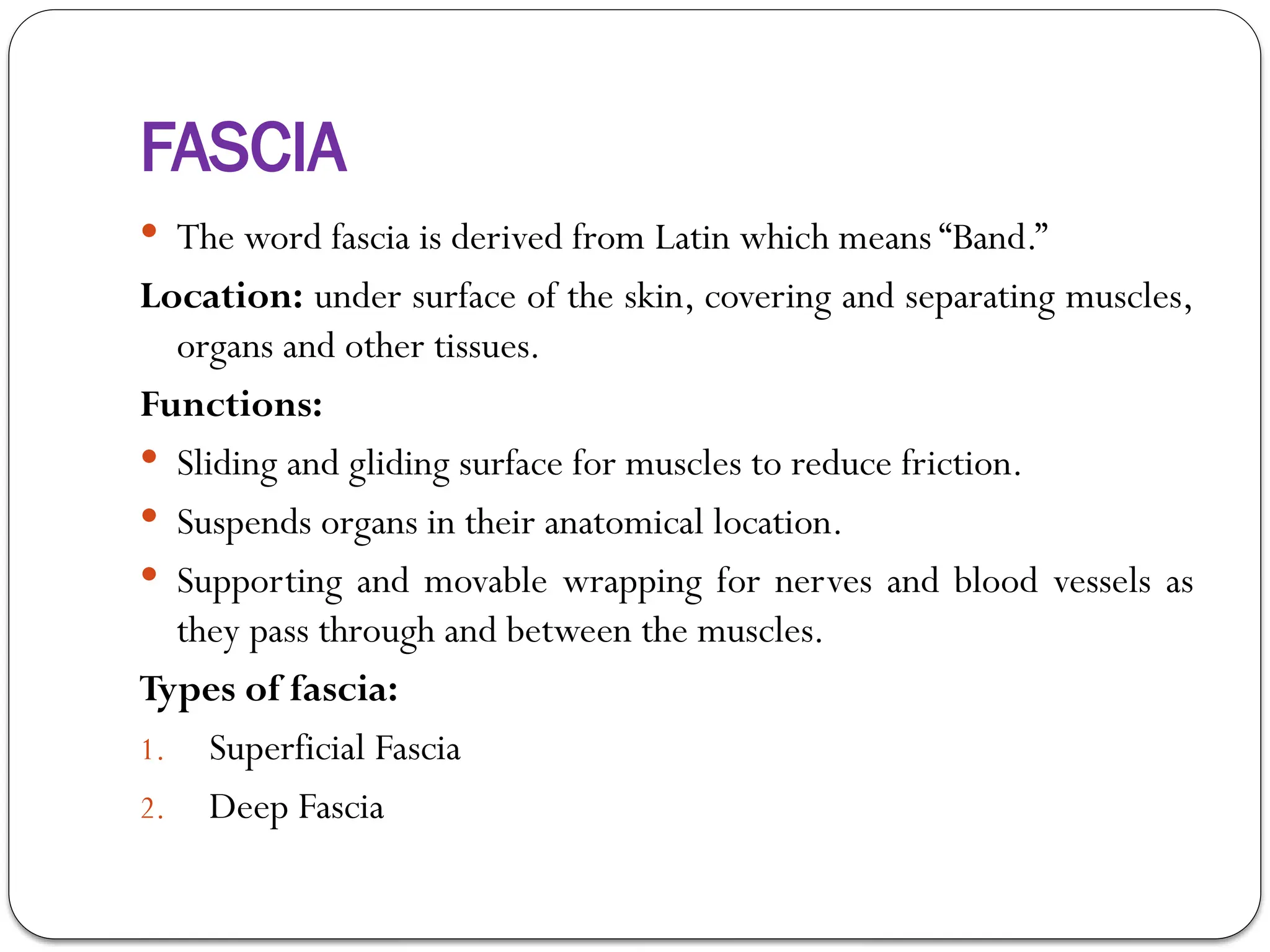 SKIN, SUPERFICIAL FASCIA AND DEEP FASCIA.pptx