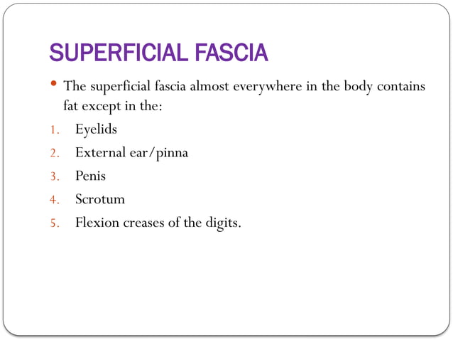 SKIN, SUPERFICIAL FASCIA AND DEEP FASCIA.pptx | Skin and Dermatology ...