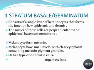 Skin tumours | PPTX