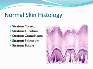 Skin tumours pathology | PPTX