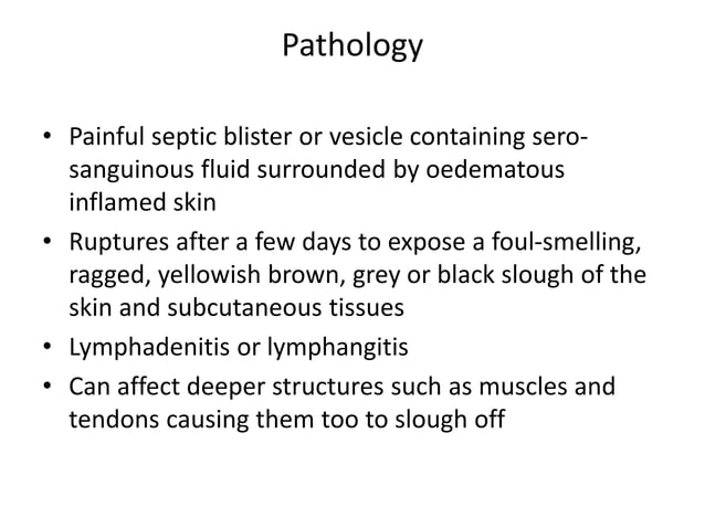 Skin Ulcers Overview ppt | PPTX | Skin and Dermatology | Diseases and ...