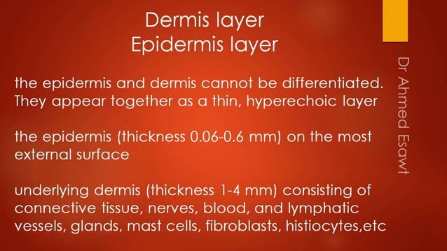 Skin ultrasound | PPT