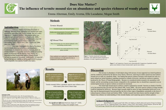 Termite Research Poster | PPT