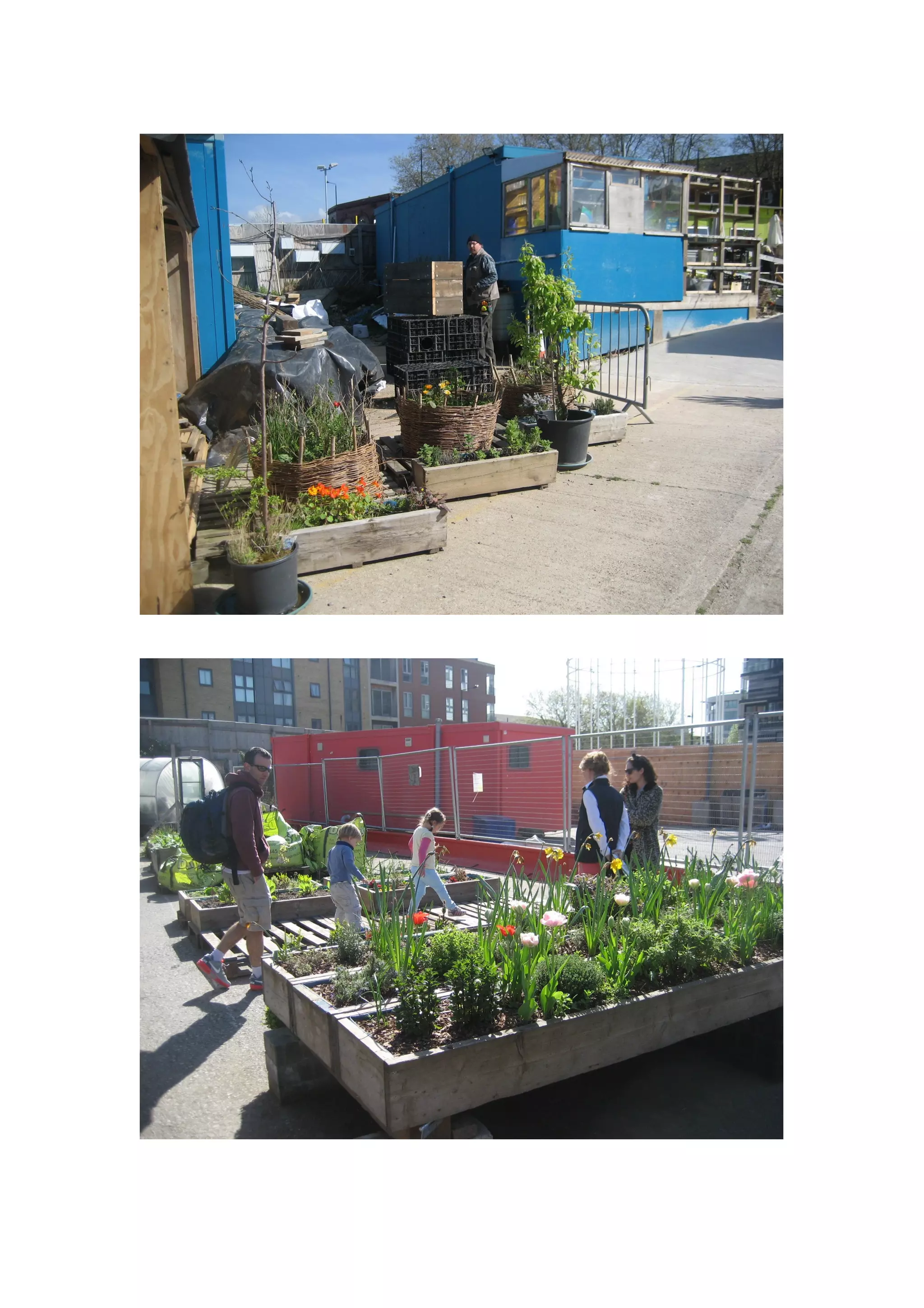 Skip garden photos | DOC