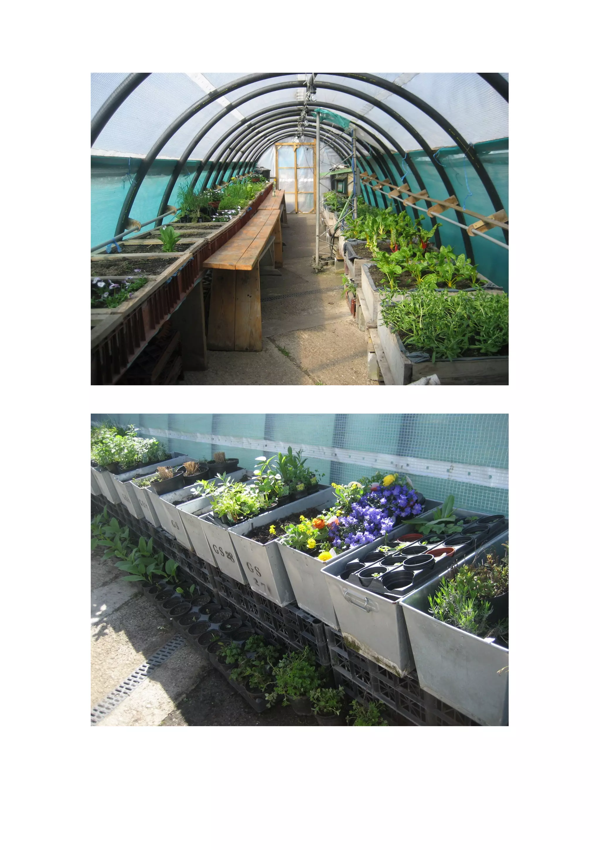 Skip garden photos | PDF