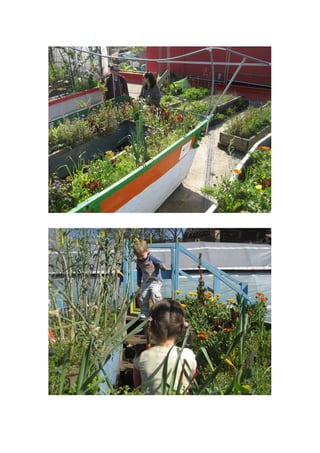 Skip garden photos | DOC