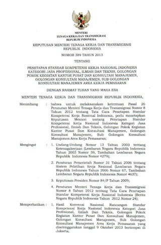 SKKNI 2013-389.pdf