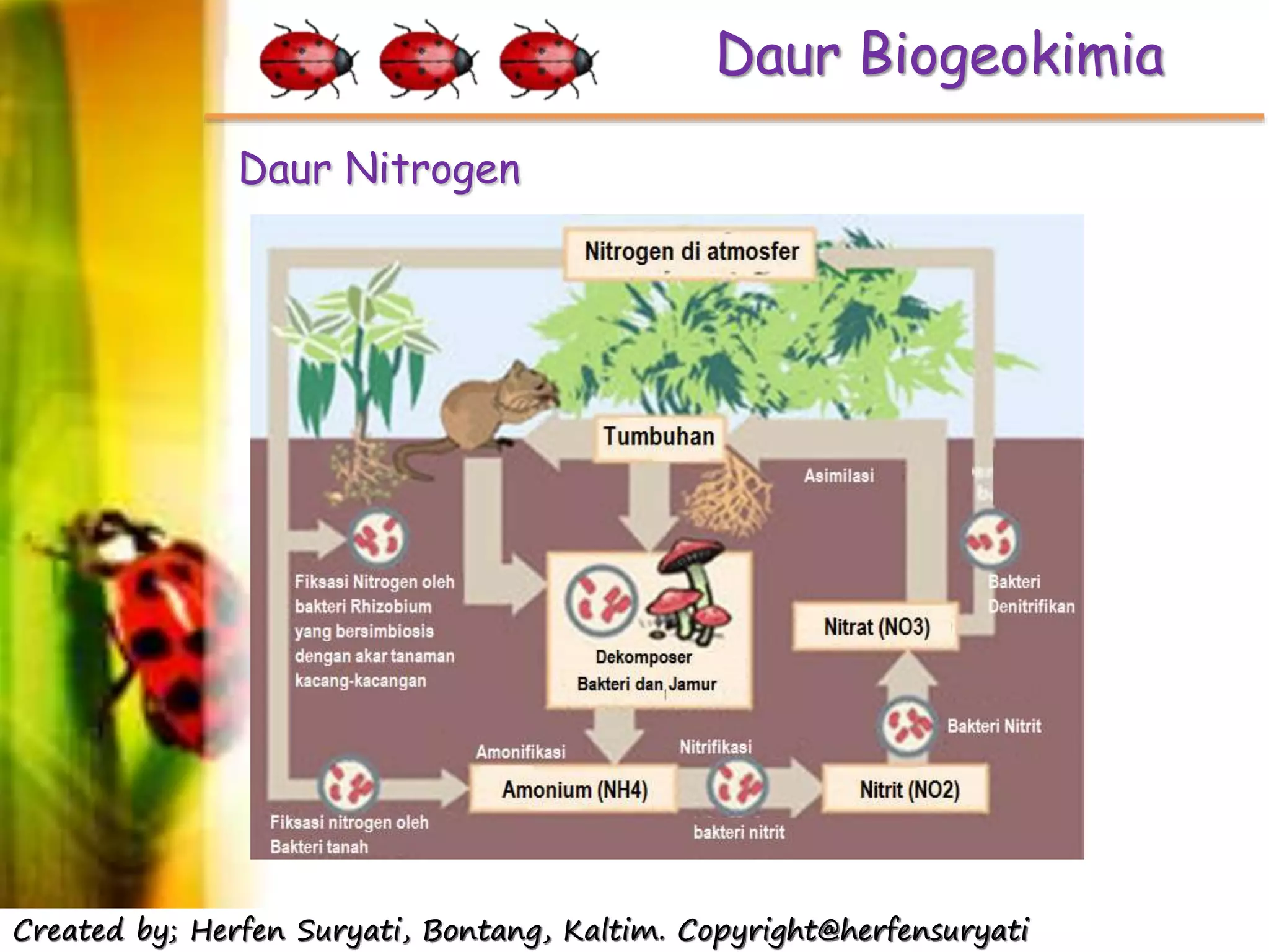 Skl 4-daur biogeokimia | PPTX