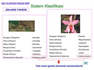 BIOLOGI Skl keanekaragaman dan klasifikasi | PPT