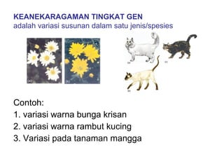 BIOLOGI Skl keanekaragaman dan klasifikasi | PPT