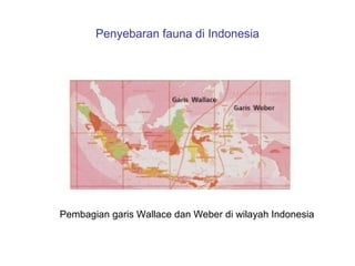BIOLOGI Skl keanekaragaman dan klasifikasi | PPT