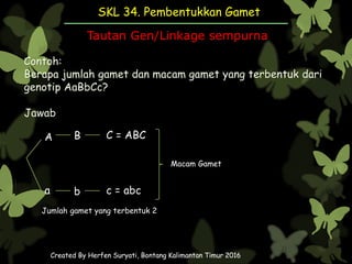 Skl 34. pembentukan gamet | PPTX
