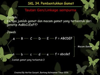 Skl 34. pembentukan gamet | PPTX
