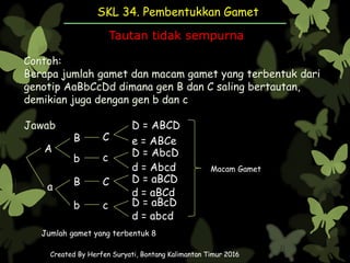Skl 34. pembentukan gamet | PPTX