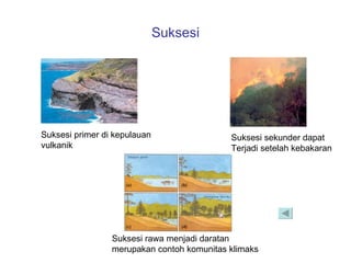 Skl 4 ekologi lingkungan hidup | PPT