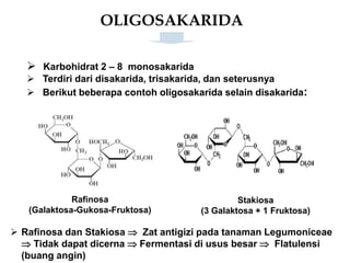 SKL5110120231402karbohidrat-1.pdf