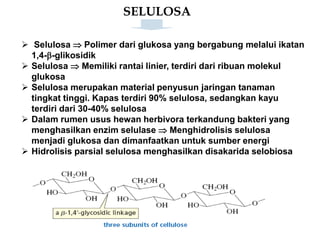 SKL5110120231402karbohidrat-1.pdf