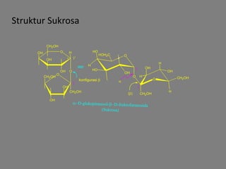 SKL5110120231402karbohidrat-1.pdf
