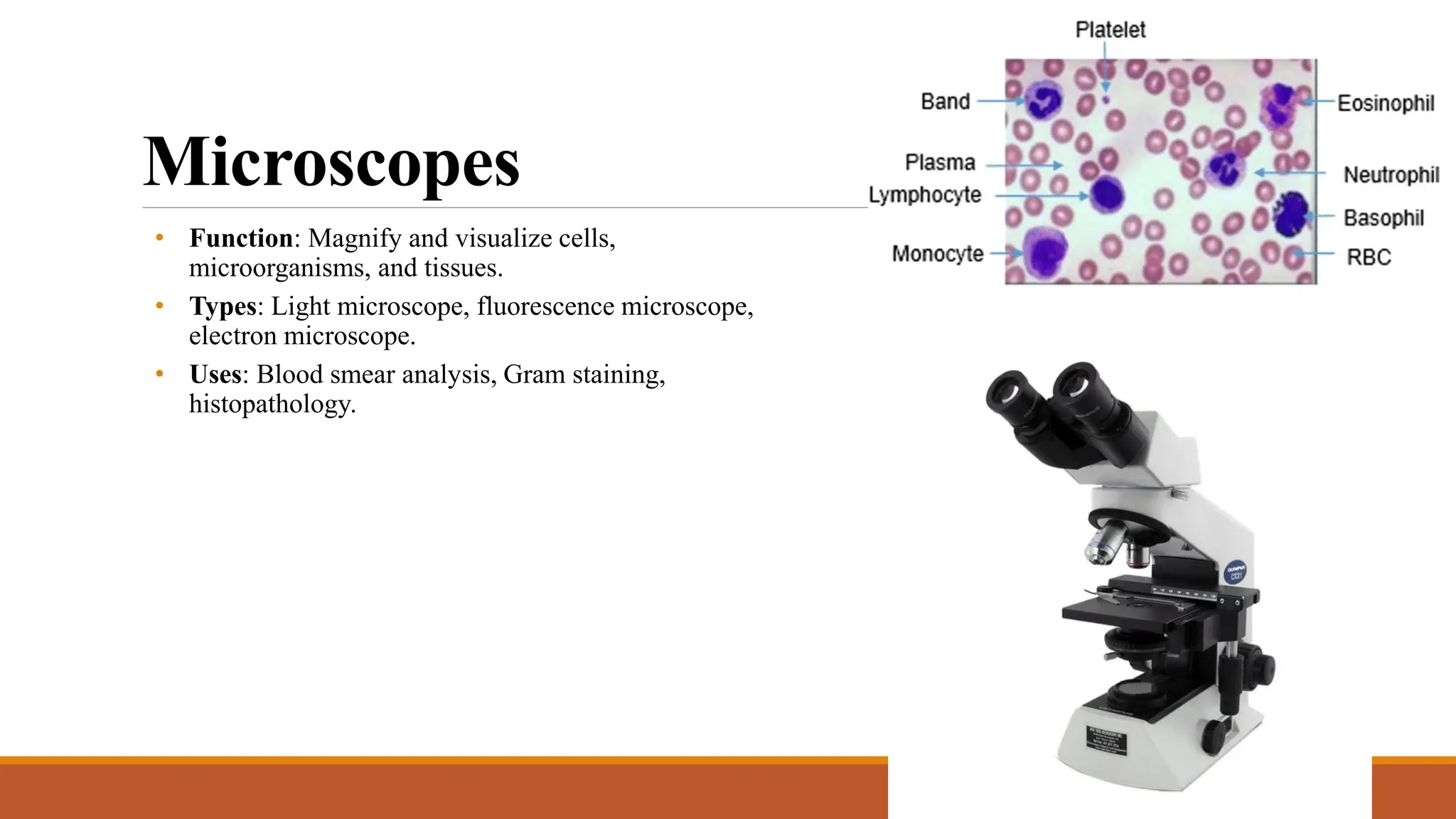 Introduction to the Clinical Laboratory.pdf