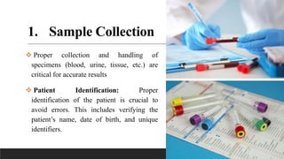 Medical Laboratory Workflow lab worlflow.pdf