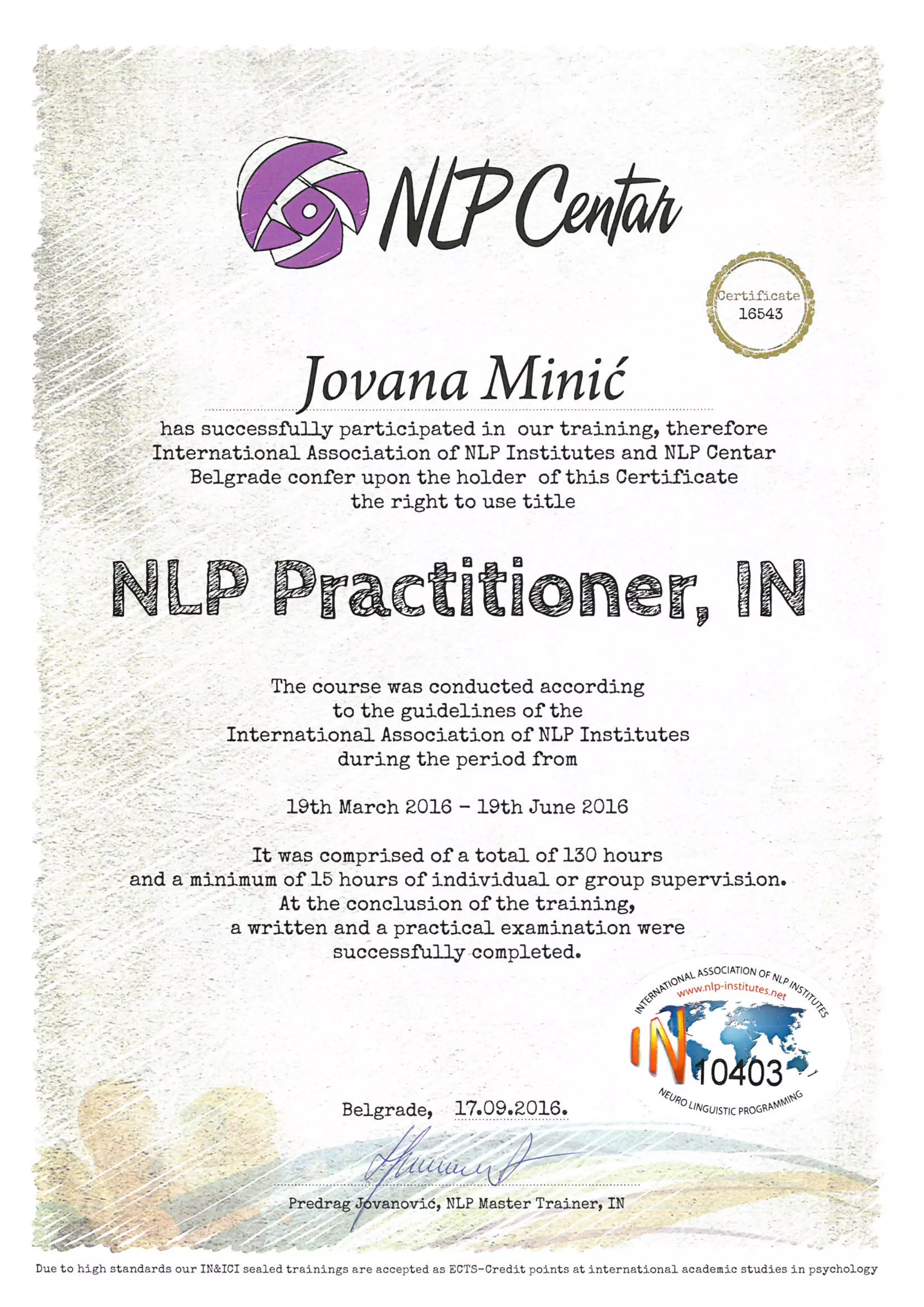 NLP Practitioner | PDF