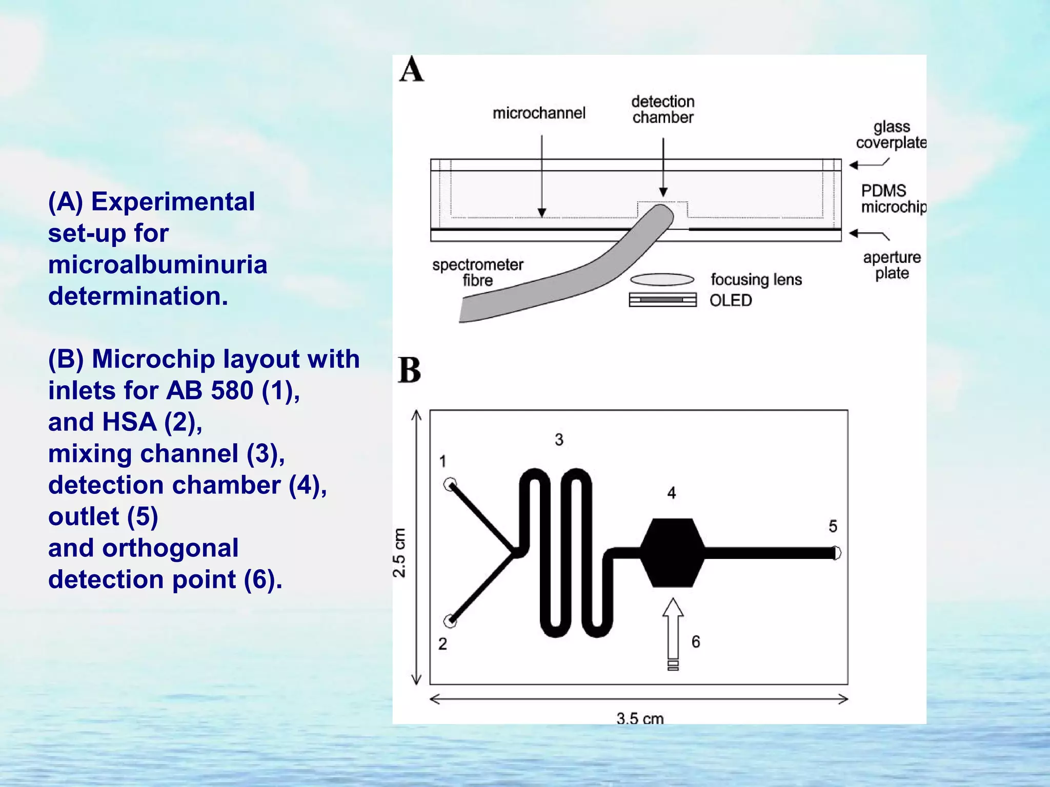Sk microfluidics and lab on-a-chip-ch2 | PPT