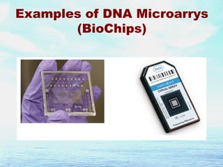 Sk microfluidics and lab on-a-chip-ch3 | PPT