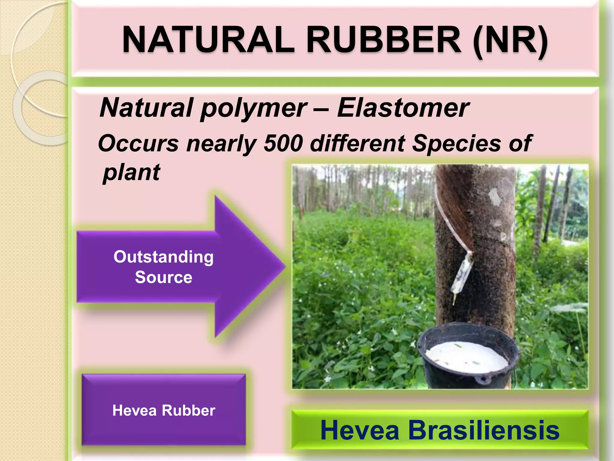 EPOXIDISED LIQUID NATURAL RUBBER-VARIATION IN EPOXIDATION RATIO BASED ...