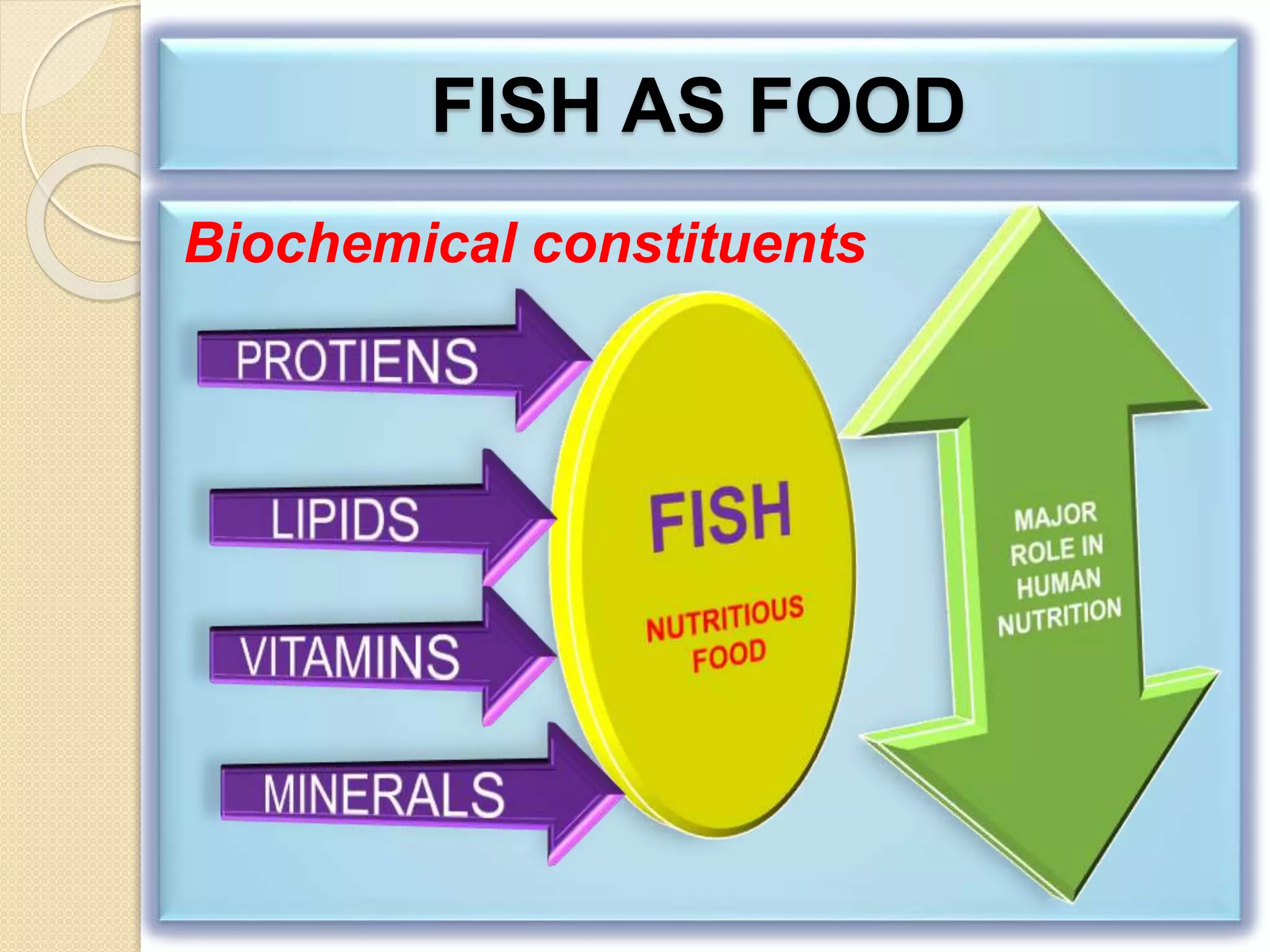 A COMPARATIVE STUDY OF WATER AND MINERAL CONTENT OF EDIBLE SHELL FISH ...