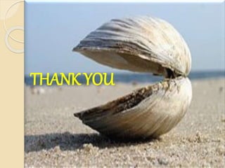 A COMPARATIVE STUDY OF WATER AND MINERAL CONTENT OF EDIBLE SHELL FISH ...