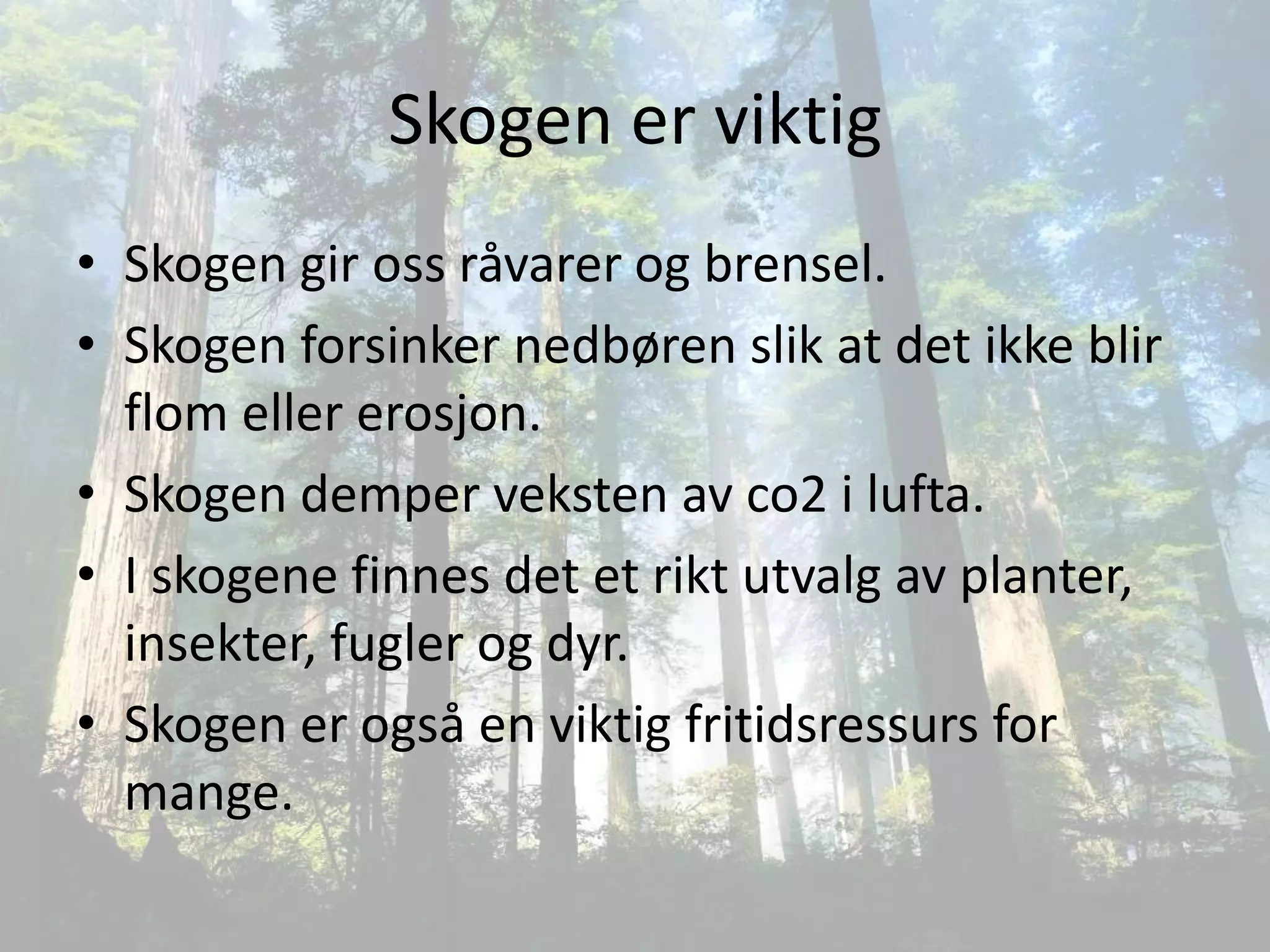 Skog og skogbruk | PPTX