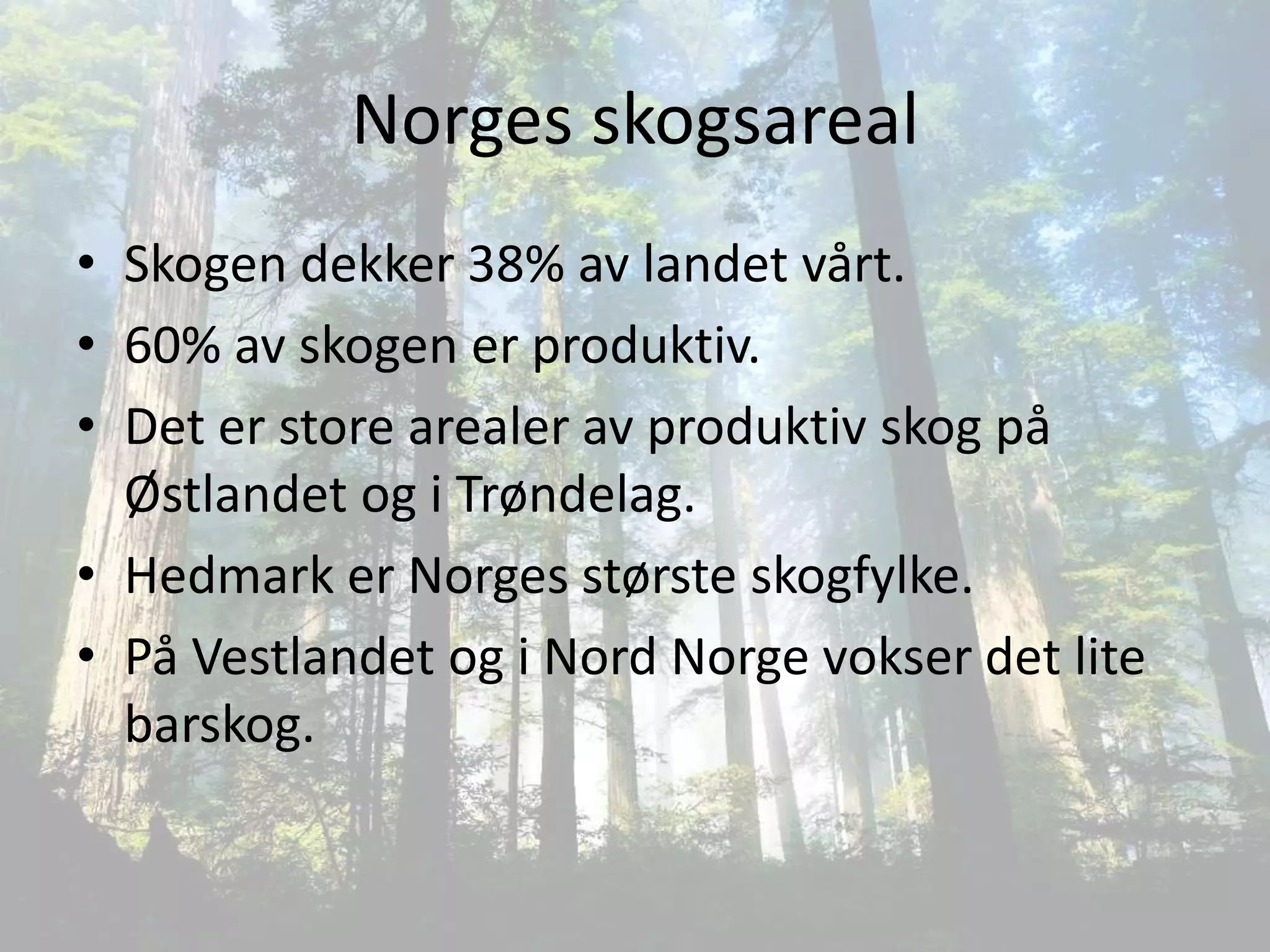Skog og skogbruk | PPTX