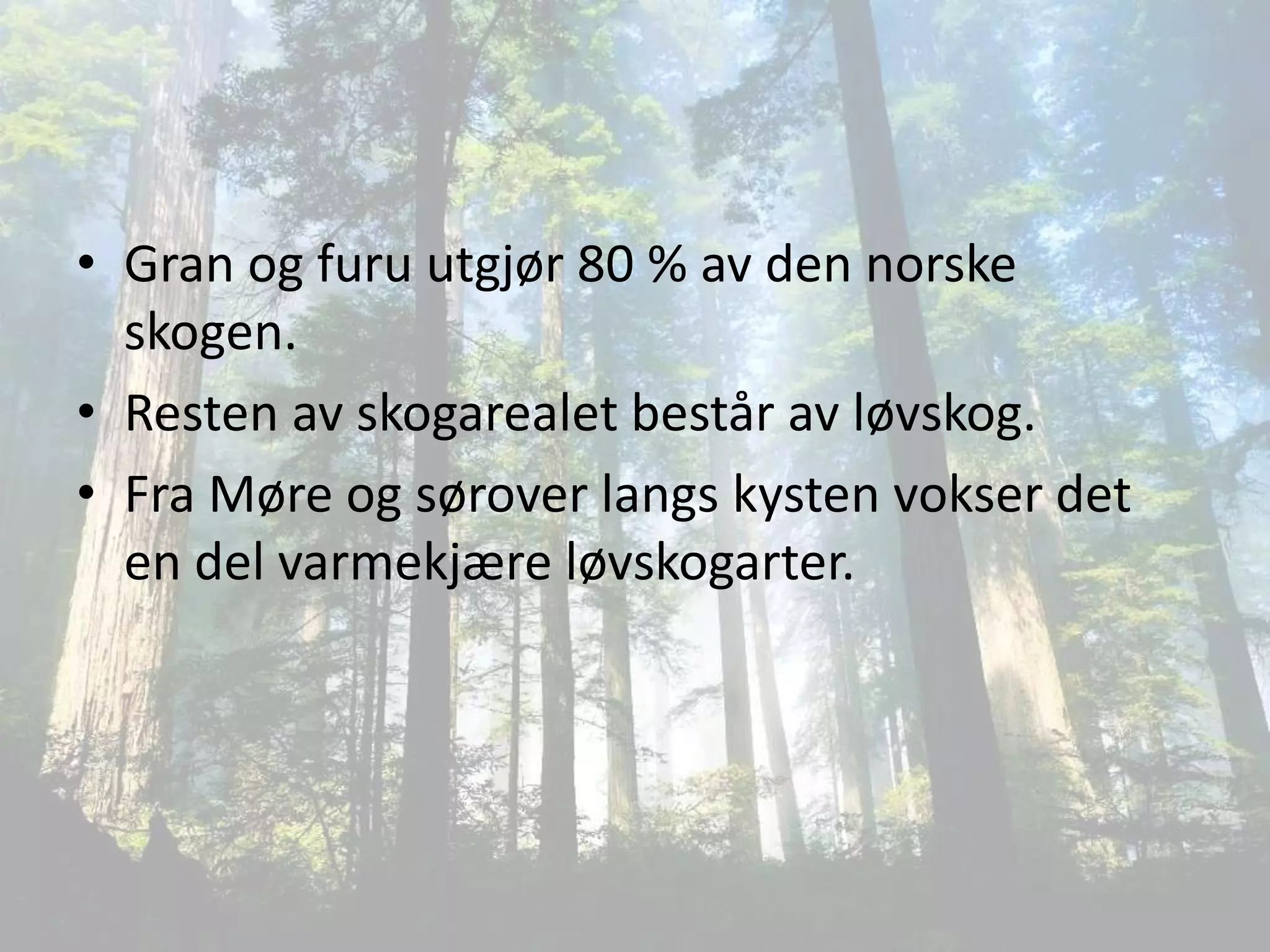 Skog og skogbruk | PPTX