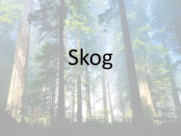 Skog og skogbruk | PPTX