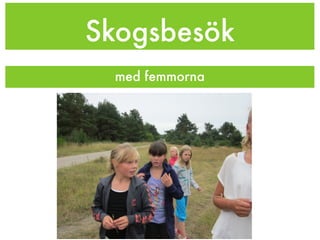 Skogen | KEY