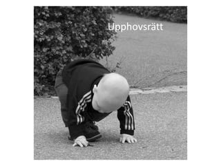 Internetiskolan Webbstjarnan | PPT | Free Download