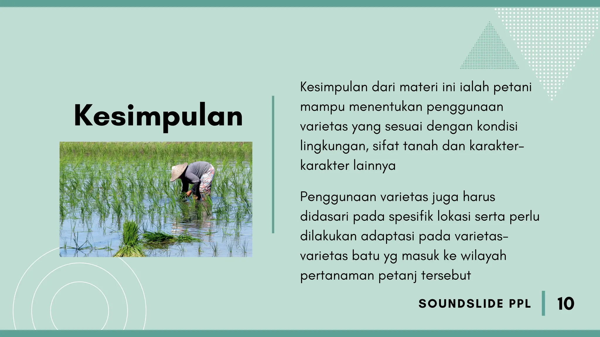 Soundslide penggunaan varietas unggul padi | PDF