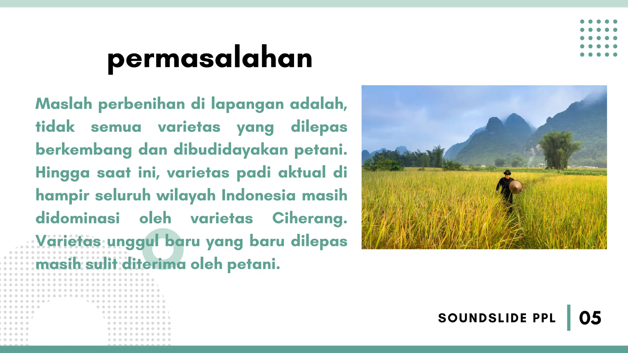 Soundslide penggunaan varietas unggul padi | PDF
