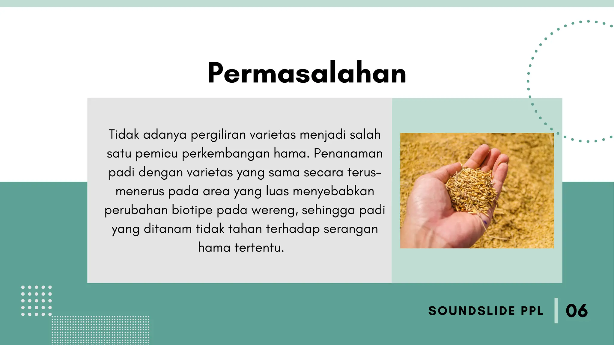 Soundslide penggunaan varietas unggul padi | PDF