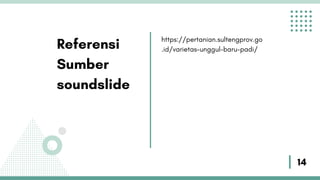 Soundslide penggunaan varietas unggul padi | PDF