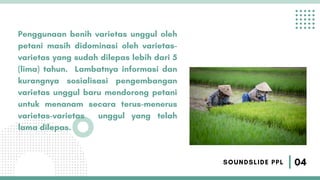 Soundslide penggunaan varietas unggul padi | PDF