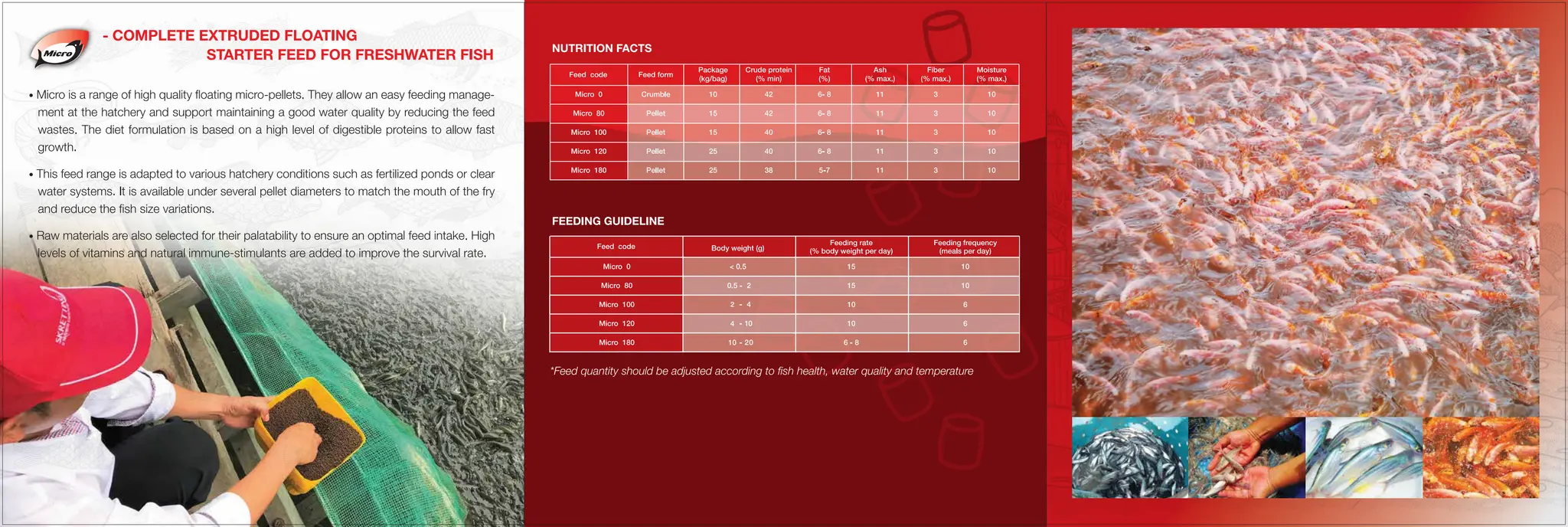 Micro- High quality freshwater feed for fingerlings | PDF