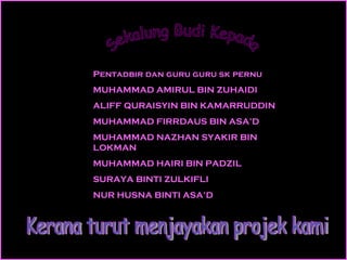 Sk pernu | PPS