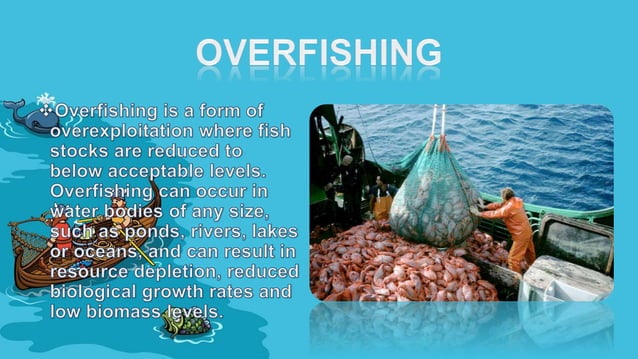 Overfishing | PPTX | Zoos & Aquariums | Attractions