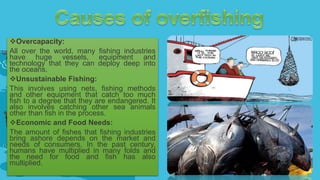 Overfishing | PPTX