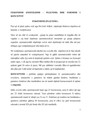 Akusheria me perkujdesje | DOCX