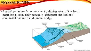 Ocean Bottom Topography | PPTX