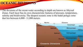 Ocean Bottom Topography | PPTX