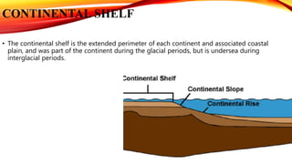 Ocean Bottom Topography | PPTX